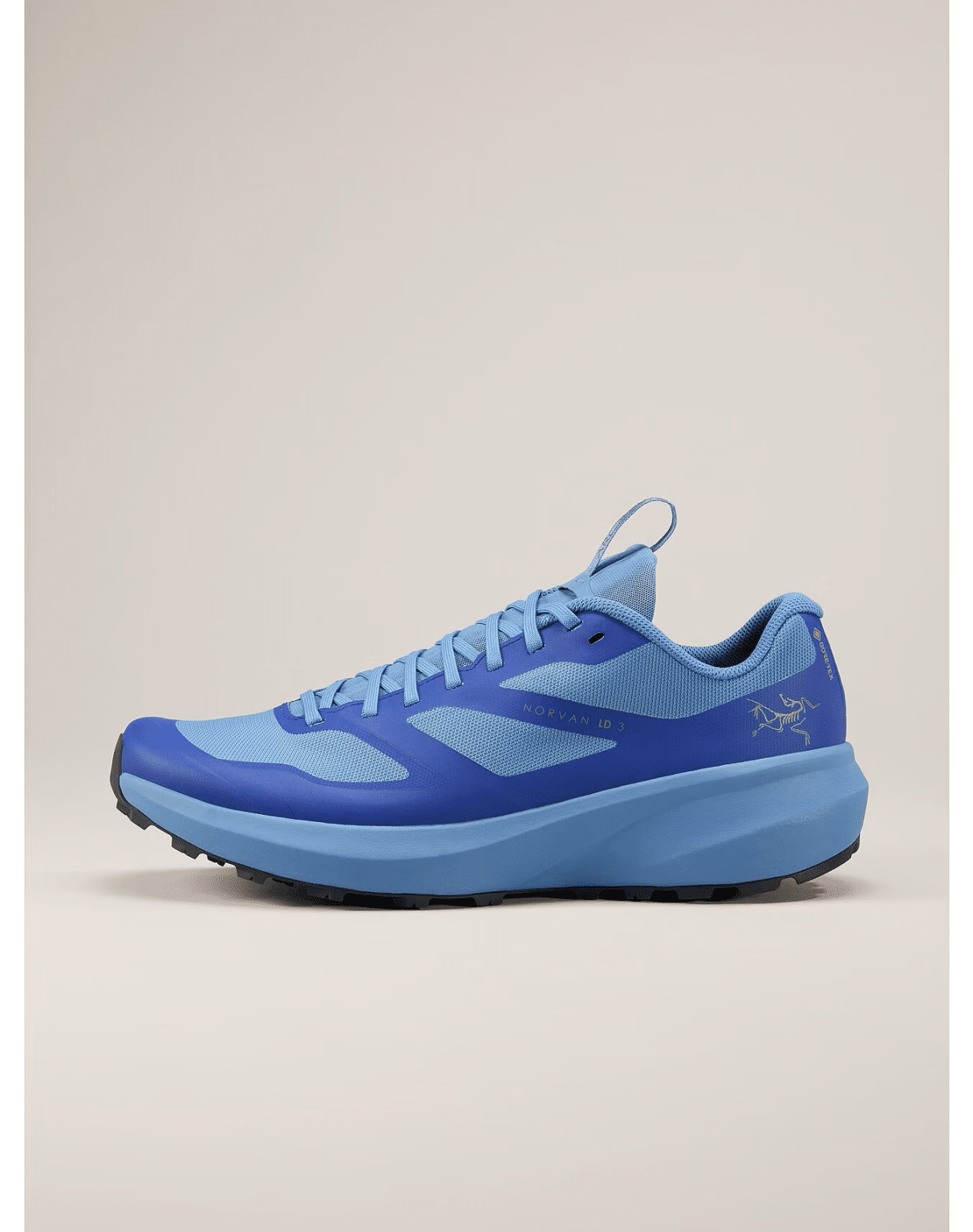 Arc'teryx Shoes | Norvan LD 3 GTX Review - OutdoorCrunch